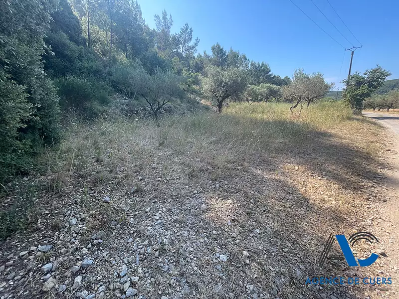 Vente terrain 1 950 m² Cuers (83390) - Superimmo
